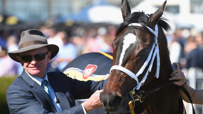 Phil - Regal Bloodstock
